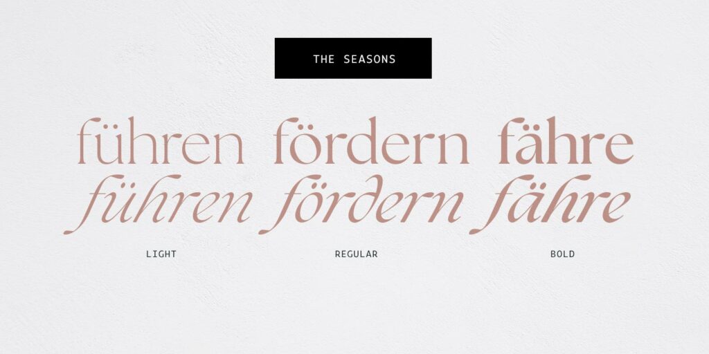 The Seasons Font Free Download Full