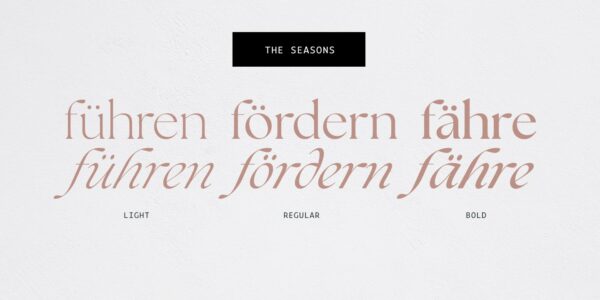 The Seasons Font Free Download Full
